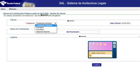 Você sabia que é possível emitir guia de pagamento para o INSS de forma digital Aposerv
