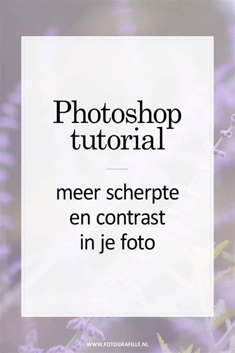 Tutorial Herfstkleuren Versterken In Je Foto Artofit