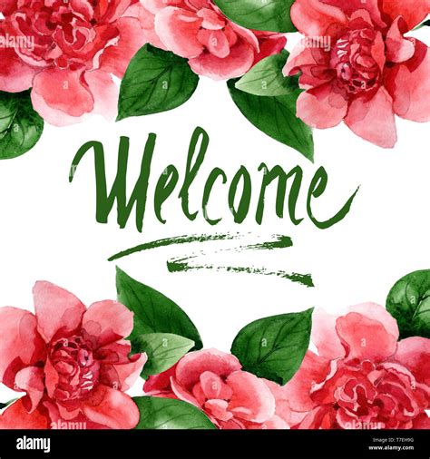 Pink Camelia Floral Botanical Flowers Wild Spring Leaf Wildflower