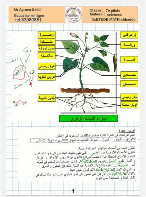 7 ème السابعة أساسي علوم الحياة والأرض تلخيص درس علوم الأرض والحياة