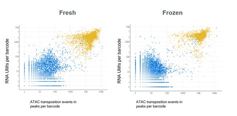 How Does The Data Compare Between Fresh And Frozen Samples In The Multiome Assay 10x Genomics