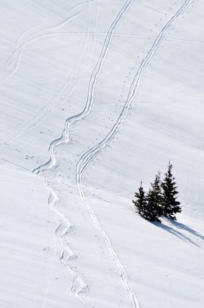 Premium Photo Ski Track In Powder Snow