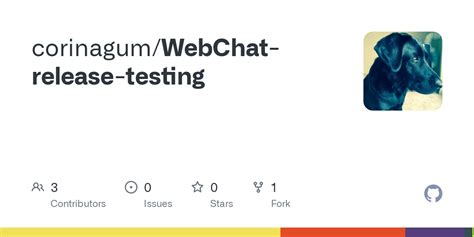 Github Corinagum Webchat Release Testing