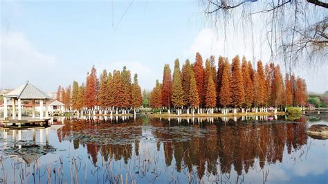 3 Days Yuxi Itinerary Best Places To Visit In Yuxi