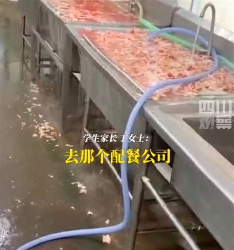 小学预制菜配餐公司环境脏乱，器具发霉肉散落一地，家长：超千人给孩子送餐，学校回应：将更换餐饮公司进行丁女士检查