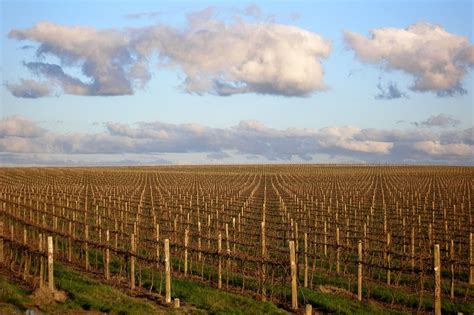 17 Fun Things To Do In Albury Wodonga 2025 Everywhere Australia
