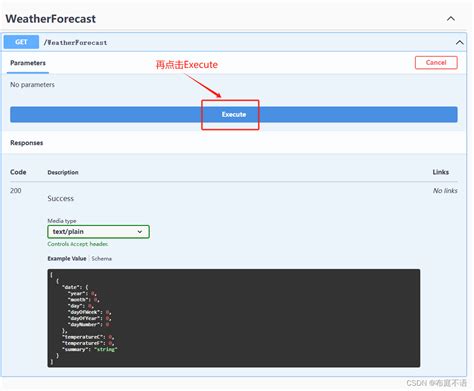 net ASP NET Core Web API 项目创建之初体验 net core webapi项目框架搭建 CSDN博客