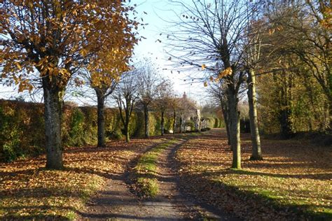 Autumn Trees Philip Halling Cc By Sa 2 0 Geograph Britain And Ireland