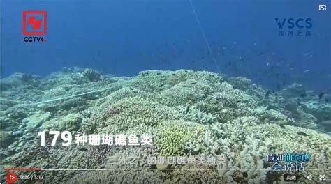 中國發布仙賓礁生態報告 反駁菲方指珊瑚白化言論 星島日報