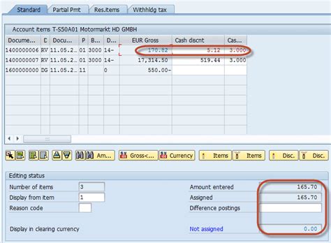 SAP FICO Central How To Post Customer Incoming Payments