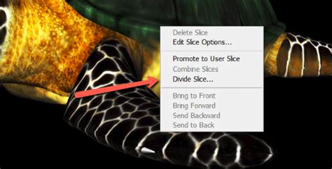 how to print a large image on multiple pages in photoshop 4 steps