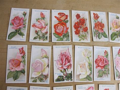 Full Set Of Cigarette Cards Wills Cigarettes Roses Second Series 1926