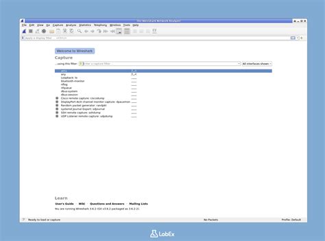 使用 Wireshark 捕获和分析网络流量 Labex