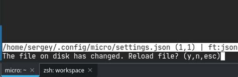 The File On Disk Has Changed Issue Zyedidia Micro GitHub