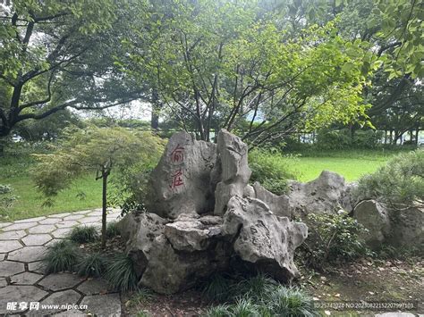 公园林荫小路摄影图 自然风景 旅游摄影 摄影图库 昵图网