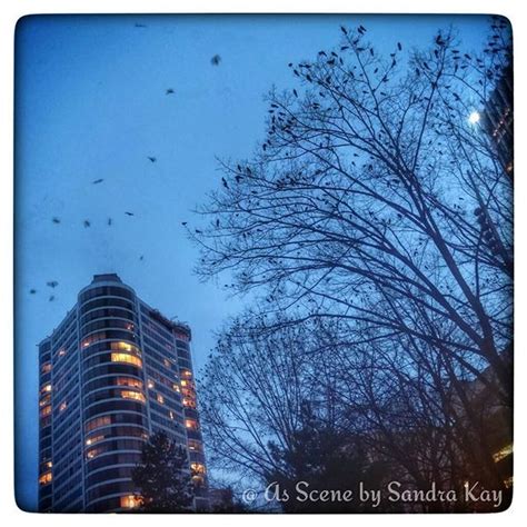 Sandra Christopherson Sandra Kay Photos • Instagram Photos And Videos Photography Pictures