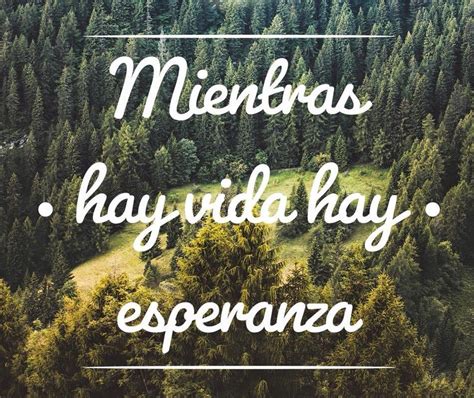 〽️ Mientras Hay Vida Hay Esperanza Vida Frases Reflexion Feliz