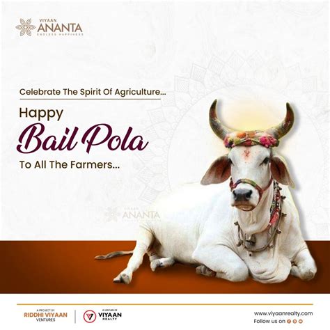 𝐇𝐚𝐩𝐩𝐲 𝐁𝐚𝐢𝐥 𝐏𝐨𝐥𝐚 Vasubaras Creative Ads Happy Pola Festival Bailpola