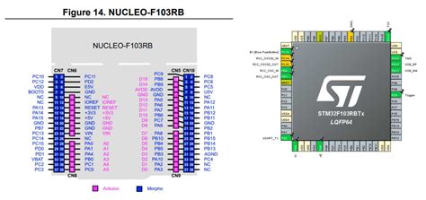 Unlock The Power Of Stm32 Nucleo With Comprehensive Datasheet Access