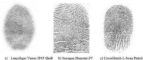 Figure 1 From Cross Sensor Fingerprint Matching Using Siamese Network
