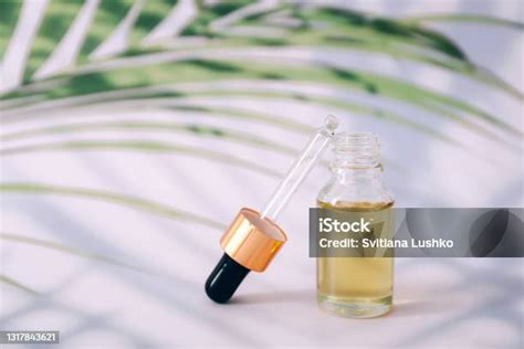 가벼운 배경에 야자수 잎이있는 혈청 또는 에센셜 오일 병 천연 유기농 화장품 0명에 대한 스톡 사진 및 기타 이미지 0명 건강한 생활방식 마사지 Istock