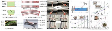 软体机器人结构设计与仿真分析专题软体机器人制作教程 Csdn博客
