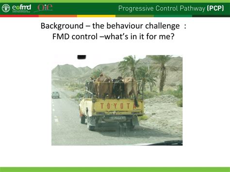 Ppt Fao Eufmd Oie Progressive Control Pathway For Fmd Powerpoint Presentation Id