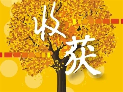 神奇的多物农用酵素看看咋用