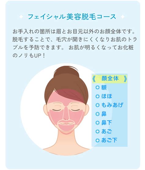 ⏩顔脱毛のコース値段と回数や効果🍀ミュゼプラチナム