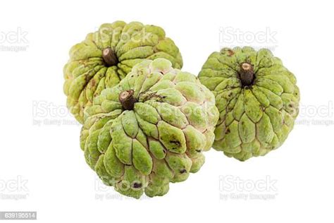 흰색 배경에 고립 된 커스터드 사과 0명에 대한 스톡 사진 및 기타 이미지 0명 나무 대만 Istock