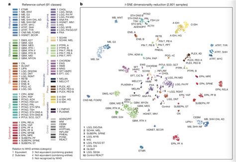 Deep Learning代写 算法代写 机器学习代写 Cs代写 艾莎代写