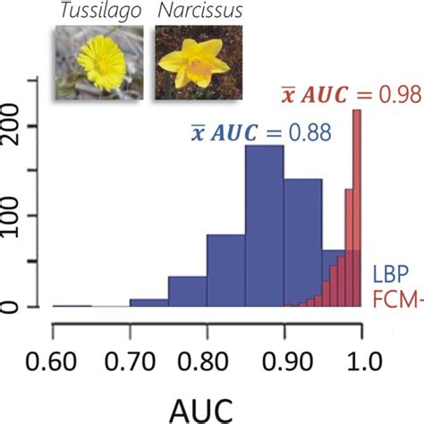 Recurrence Quantification Analysis Statistics For Image Feature