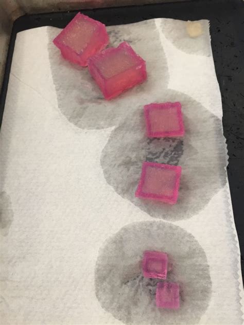 Diffusion In Agar Cubes Cell Size Lab Manroop S Blog