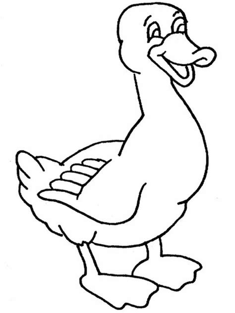 Free Duckling Images Download Free Duckling Images Png Images Free