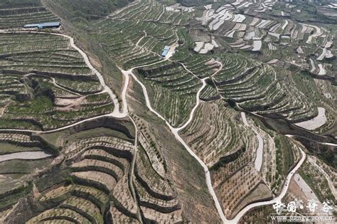 谢家湾乡：修通乡村产业路惠民致富百业兴图 天水在线