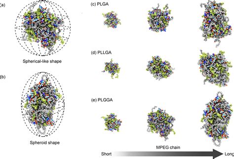 Polymeric Nanoparticles Engineered For Optimal Drug Delivery Using Atomistic Computational