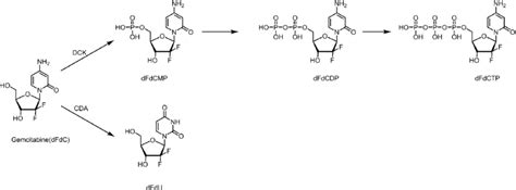 Diagram Of The Practical Teaching System Of Automation Major 图 1 Download Scientific Diagram