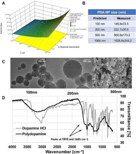 Polydopamine Nanoparticles And Hyaluronic Acid Hydrogels For Mussel Inspired Tissue Adhesive