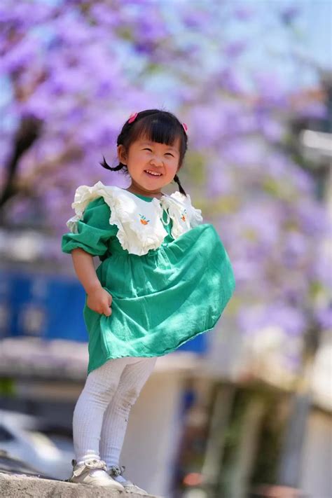西昌的蓝花楹，盛开！澎湃号·政务澎湃新闻 The Paper