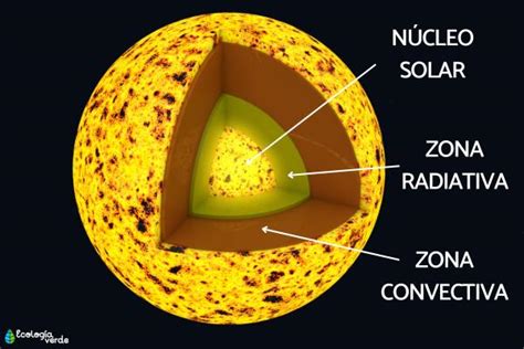 Mariposa Venenosa 18 Tipos Y Fotos Impresionantes
