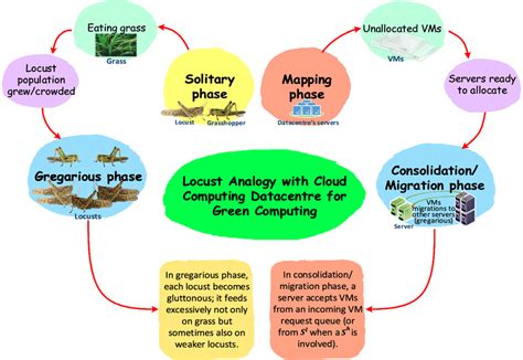 Locust Feeding Versus Cloud Computing Scheduling Download Scientific Diagram