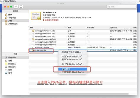 客户端如何导入私有ca证书到受信任的证书颁发机构中