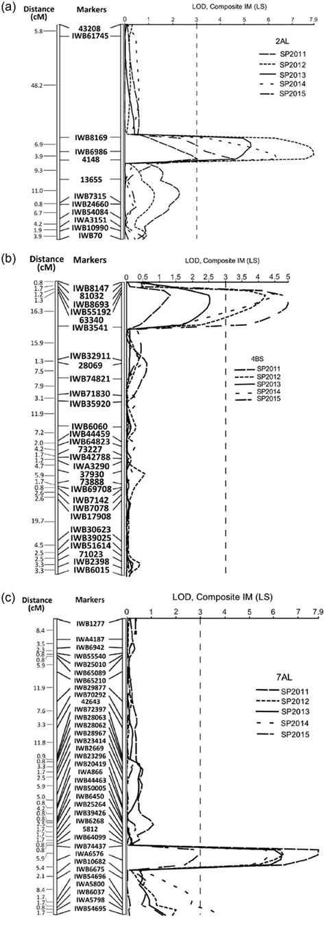 Adult Plant Leaf Rust Resistance Qtl Derived From Wheat Line Ci13227 Maps To Chromosomes 2al