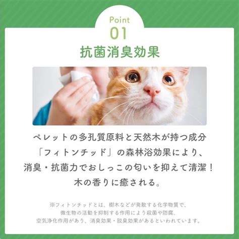 獣医師監修 くずれる 猫砂 木製猫砂 6l 375kg 約60日分システムトイレ用 強力消臭＆抗菌 飛び散らない ホワイトペレット 天然木