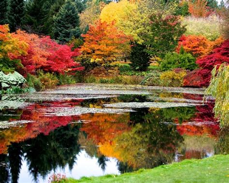 Vandusen Botanical Garden Gardensonline