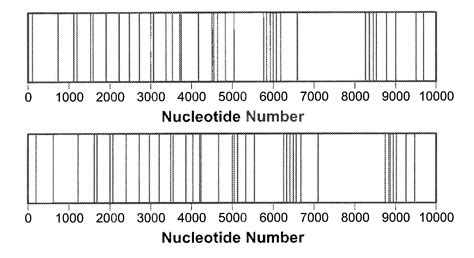 rapid genomic sequence homology assessment scheme based on combinatorial analytic concepts