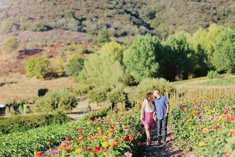 Danielle And Eric Engaged Wedding