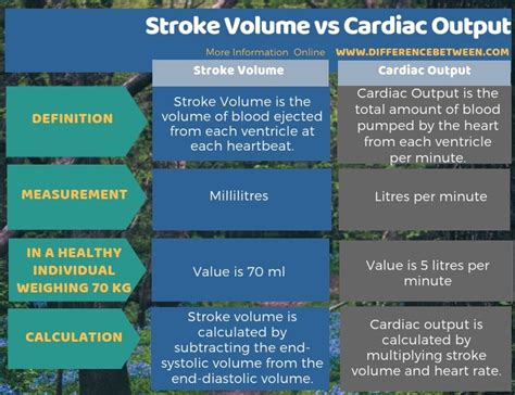 Stroke Volume Cardiac Output