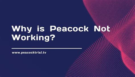 Why Is Peacock Not Working