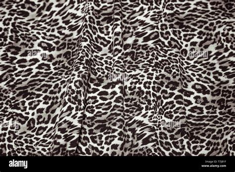 Leopard Effect Fabric Pattern Background Sample Leopard Print Seamless